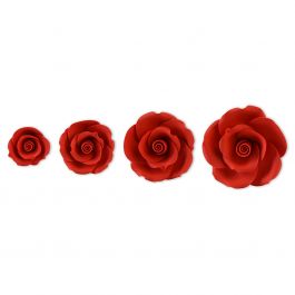 Modecor | SET RED ROSES(17 PCS)